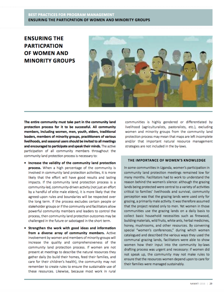 Chapter: Ensuring the Participation of Women and Minority Groups