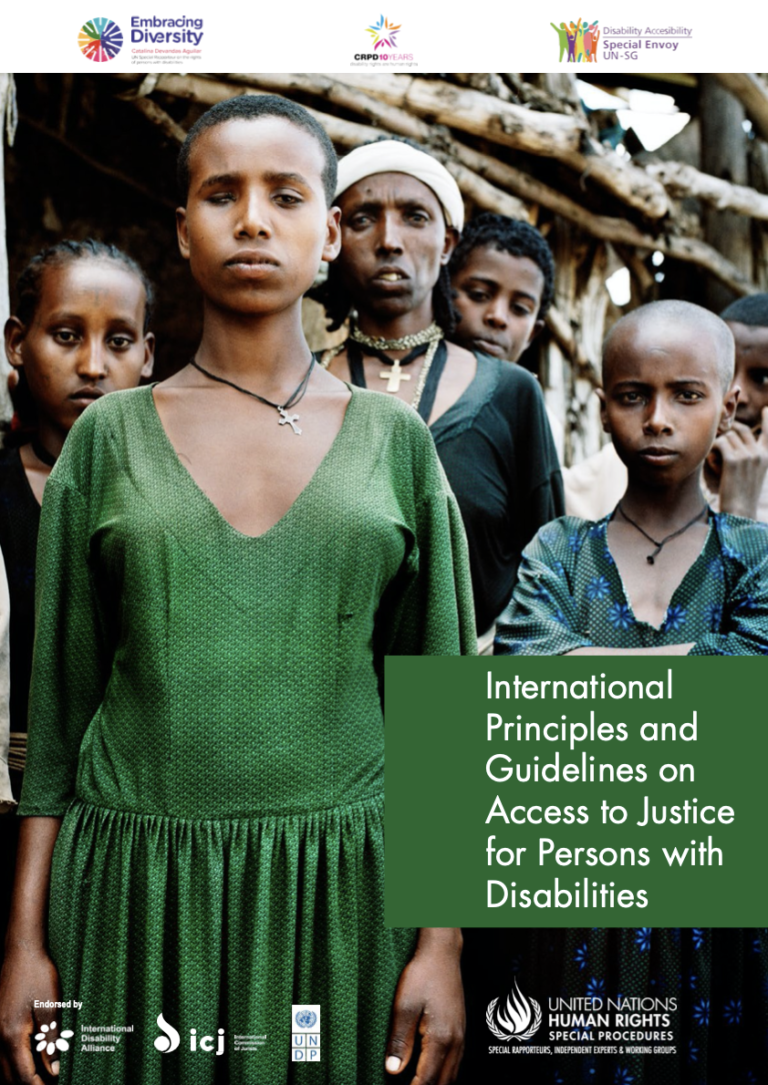 International Principles and Guidelines on access to justice for ...