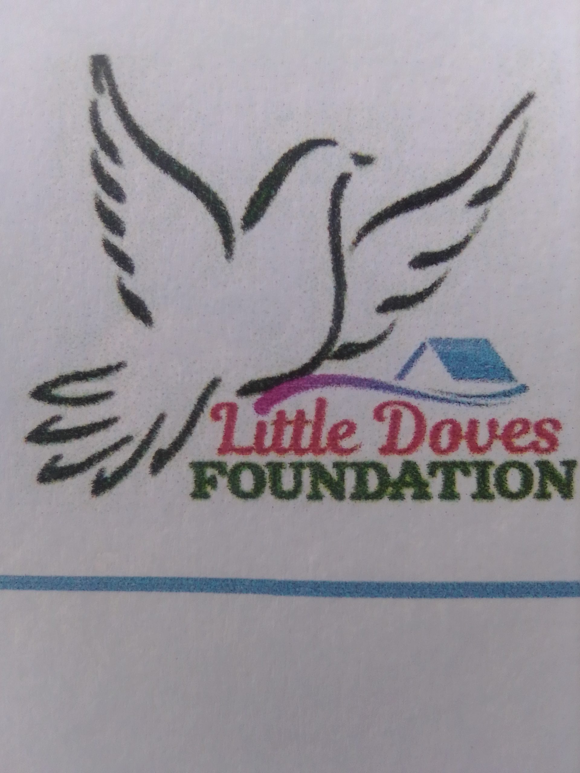 Little Doves Foundation - Grassroots Justice Network