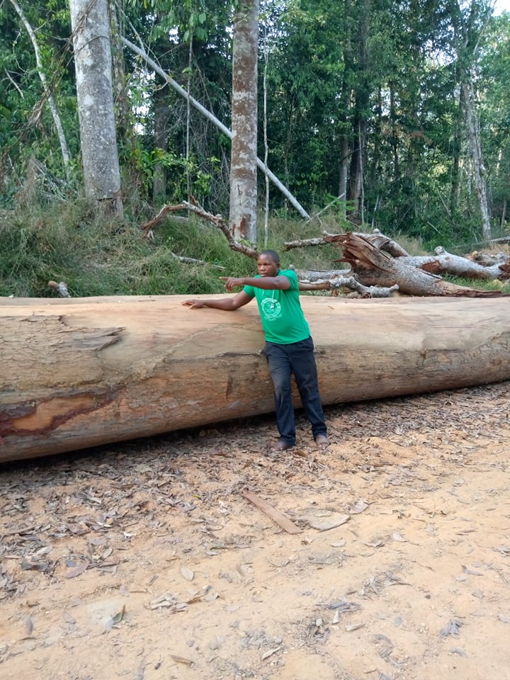 Network Member Interview: Andrew Y.Y. Zelemen, National Union of ...